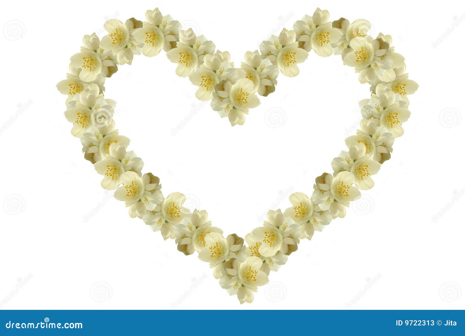 Jasmine heart stock illustration. Illustration of closeup - 9722313