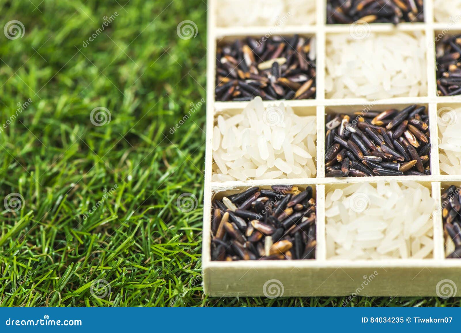 Jasmine Rice Black Rice and White Rice in a Little Box on Grass Stock ...