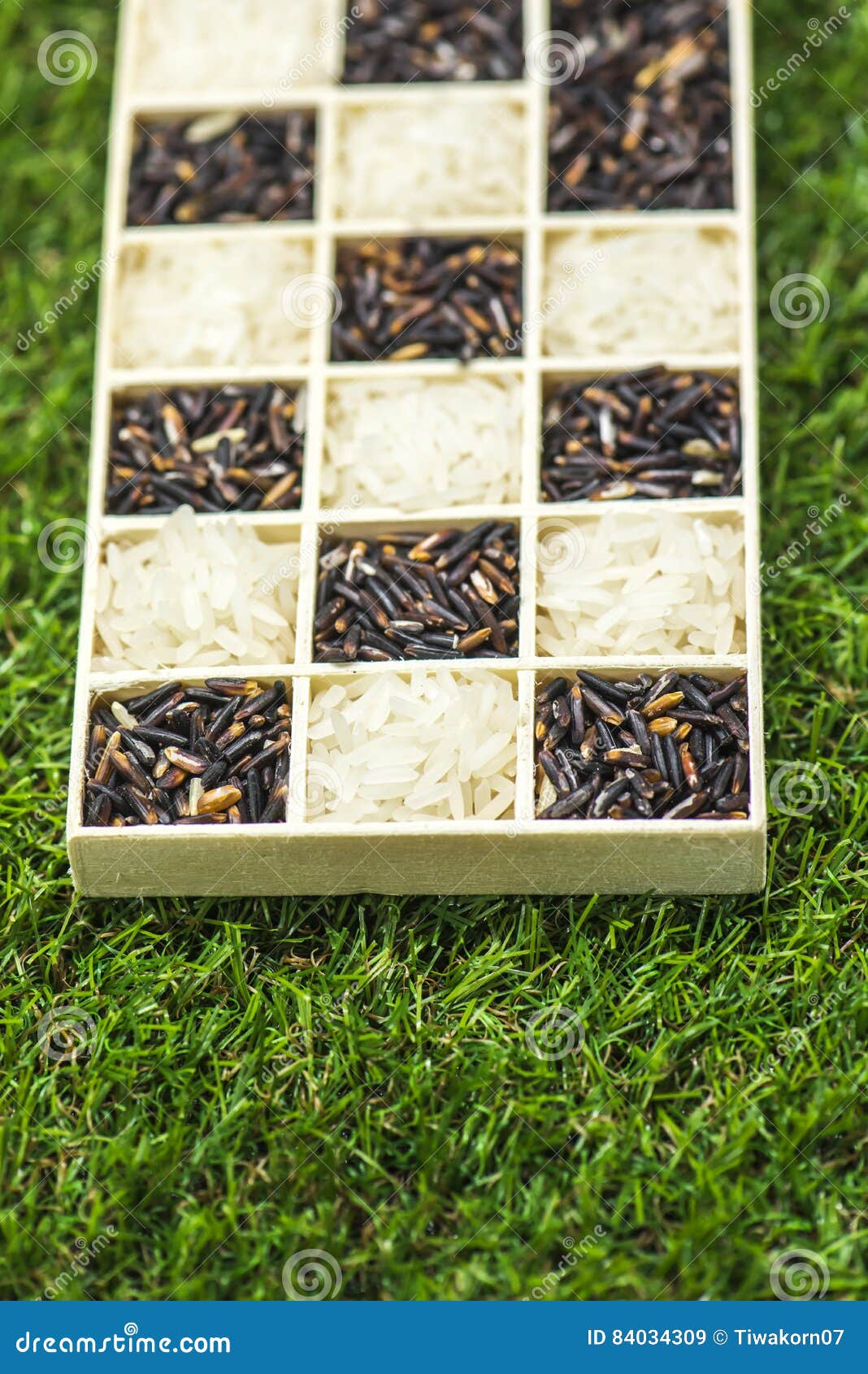 Jasmine Rice Black Rice and White Rice in a Little Box on Grass Stock ...