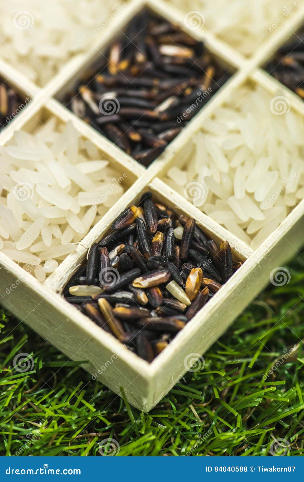 Jasmine Rice Black Rice and White Rice in a Little Box on Grass Stock ...