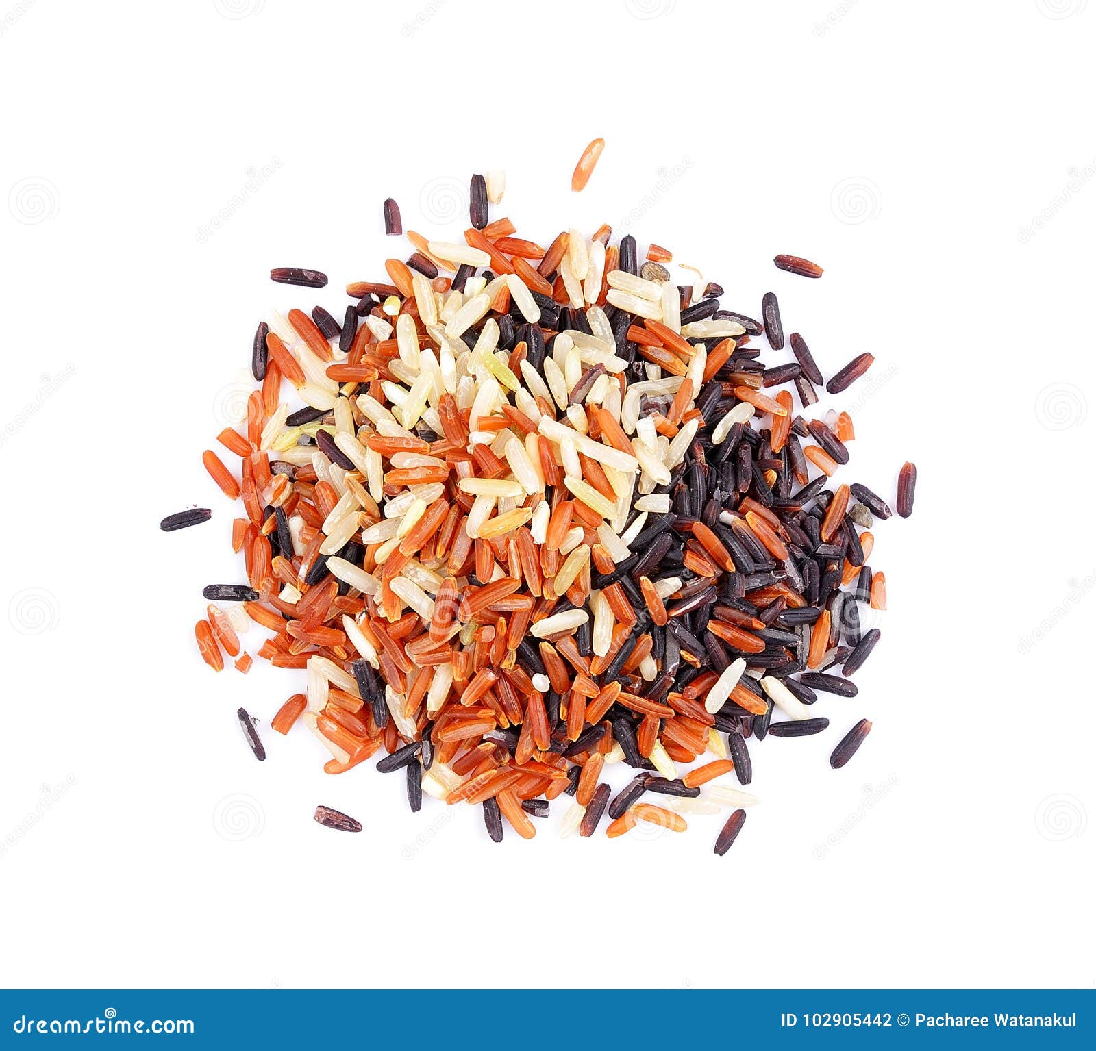 Jasmine Rice, Brown Rice, Black Rice, Mixed Rice and Riceberry, Stock ...