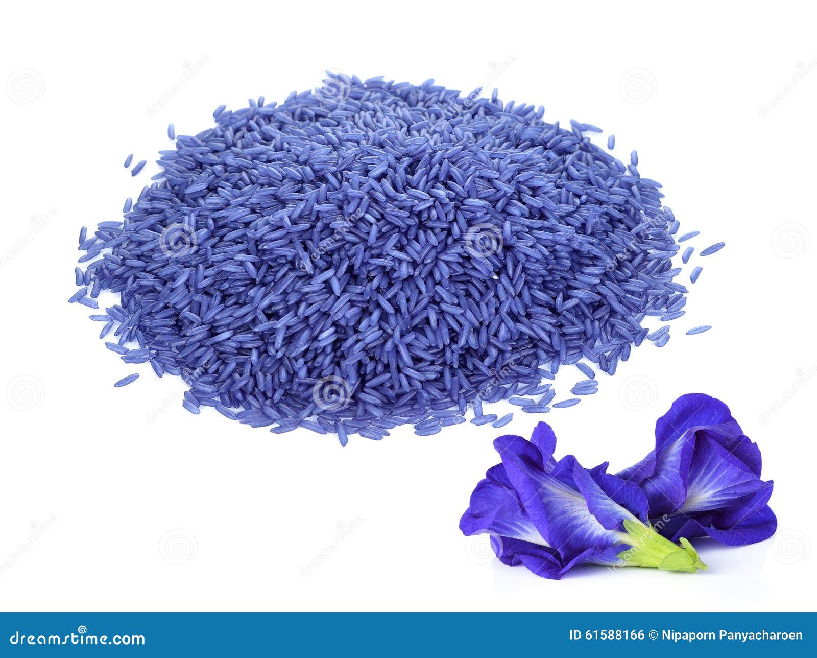 Jasmine Rice Coated with Butterfly Pea. Stock Photo - Image of grain ...