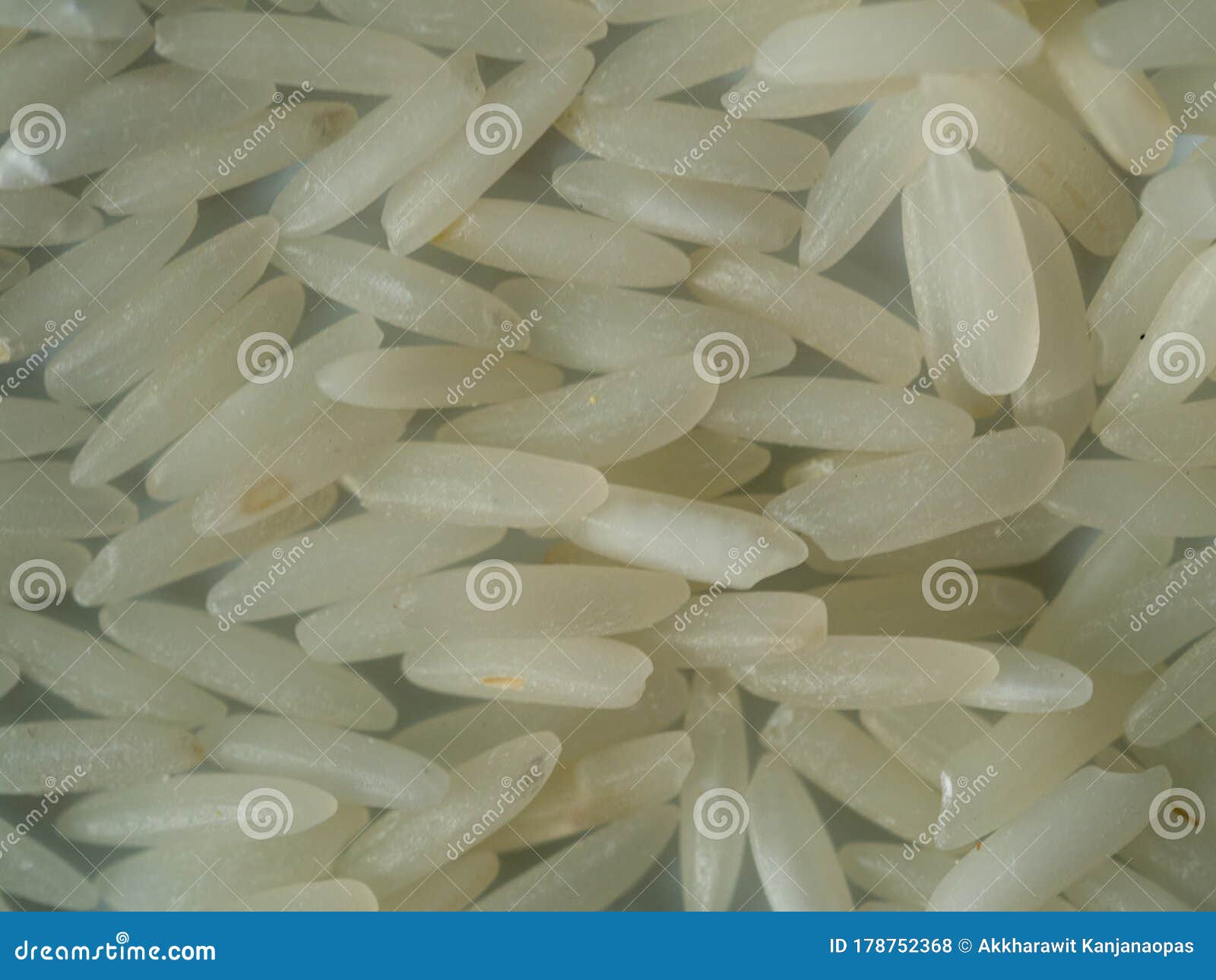 Jasmine Rice Grains Close Up with No Background Stock Photo - Image of ...