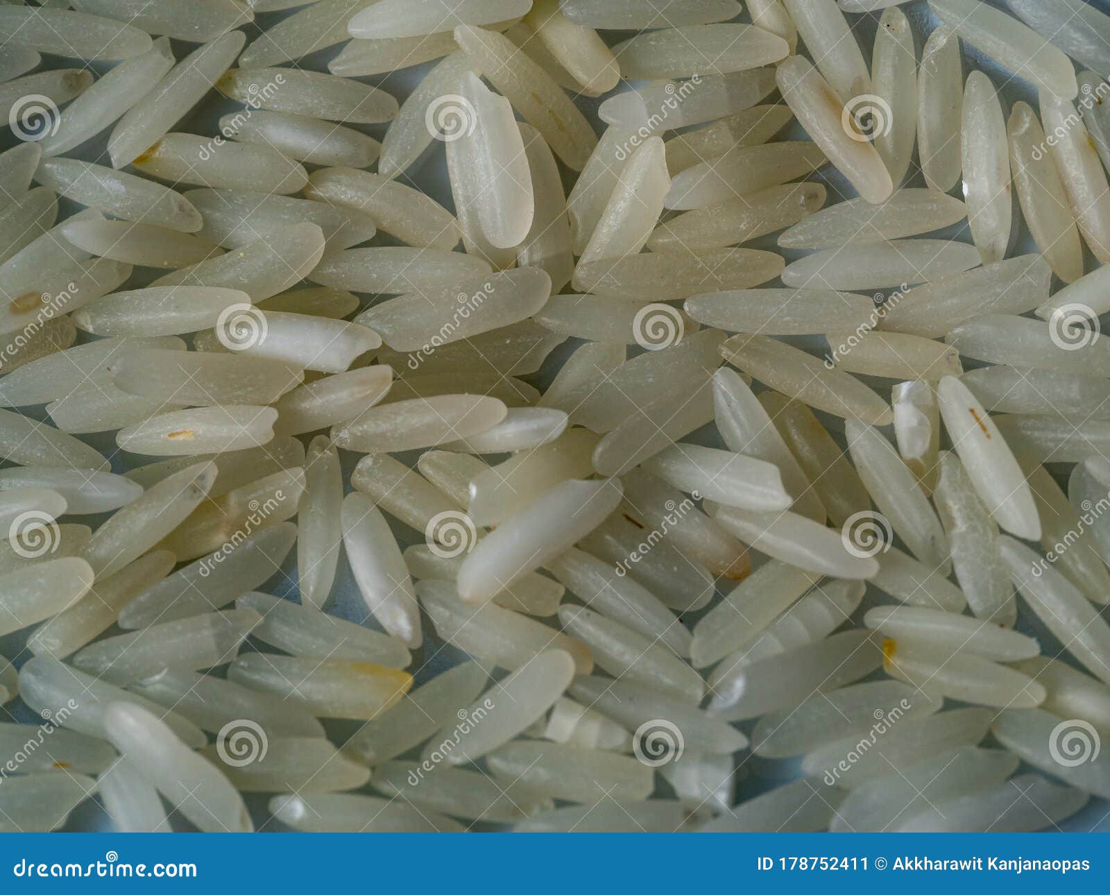Uncooked Thai Jasmine Rice Grains Close Up with No Background Stock ...