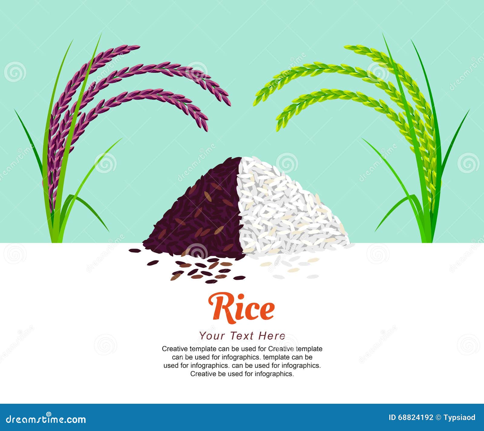 Jasmine Rice and Rice Berries. Stock Vector - Illustration of green ...