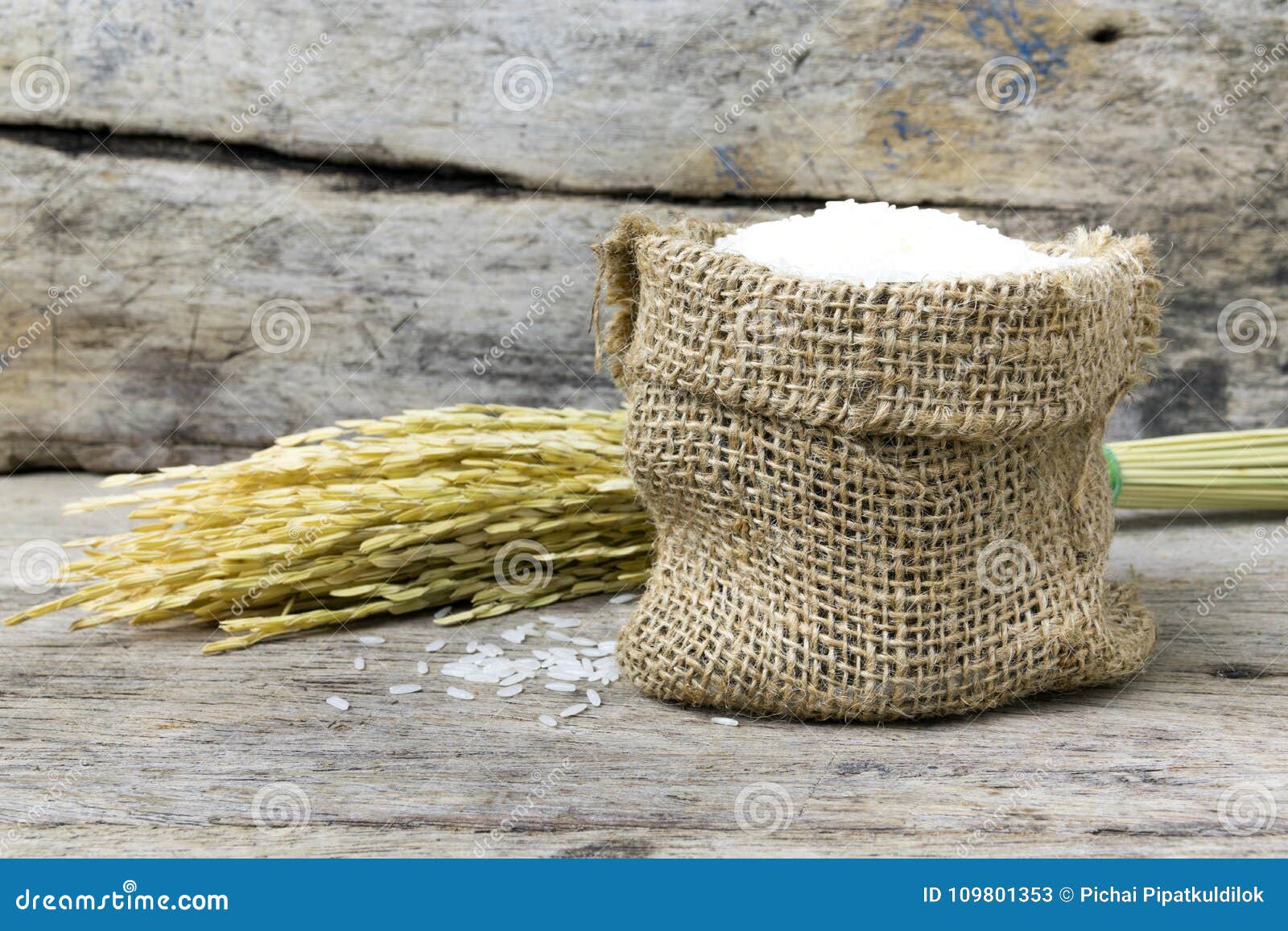 Jasmine rice in sack stock image. Image of food, background - 109801353