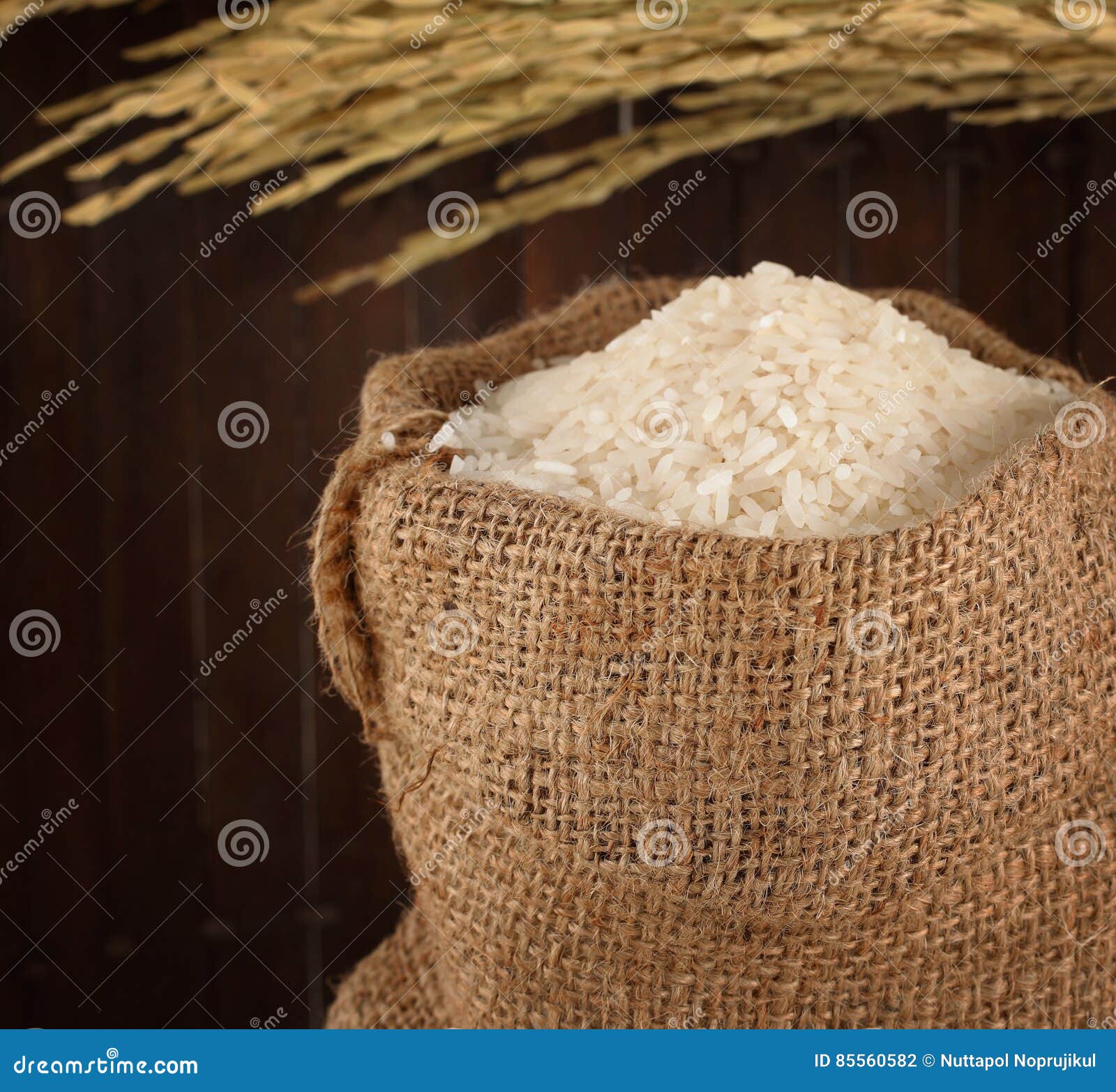 Jasmine rice in sack stock photo. Image of beautiful - 85560582
