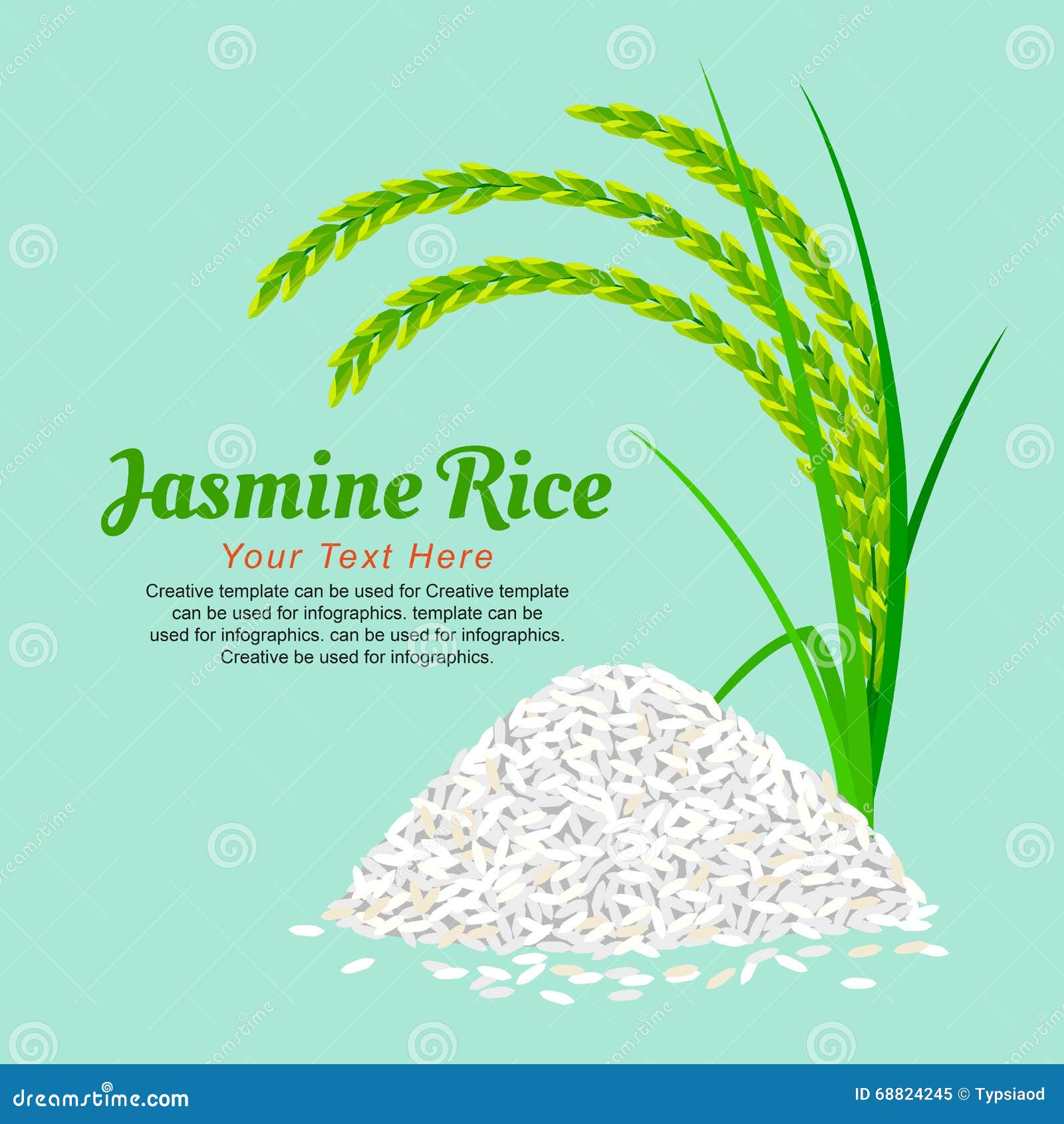 Jasmine Rice stock vector. Illustration of asian, grain - 68824245