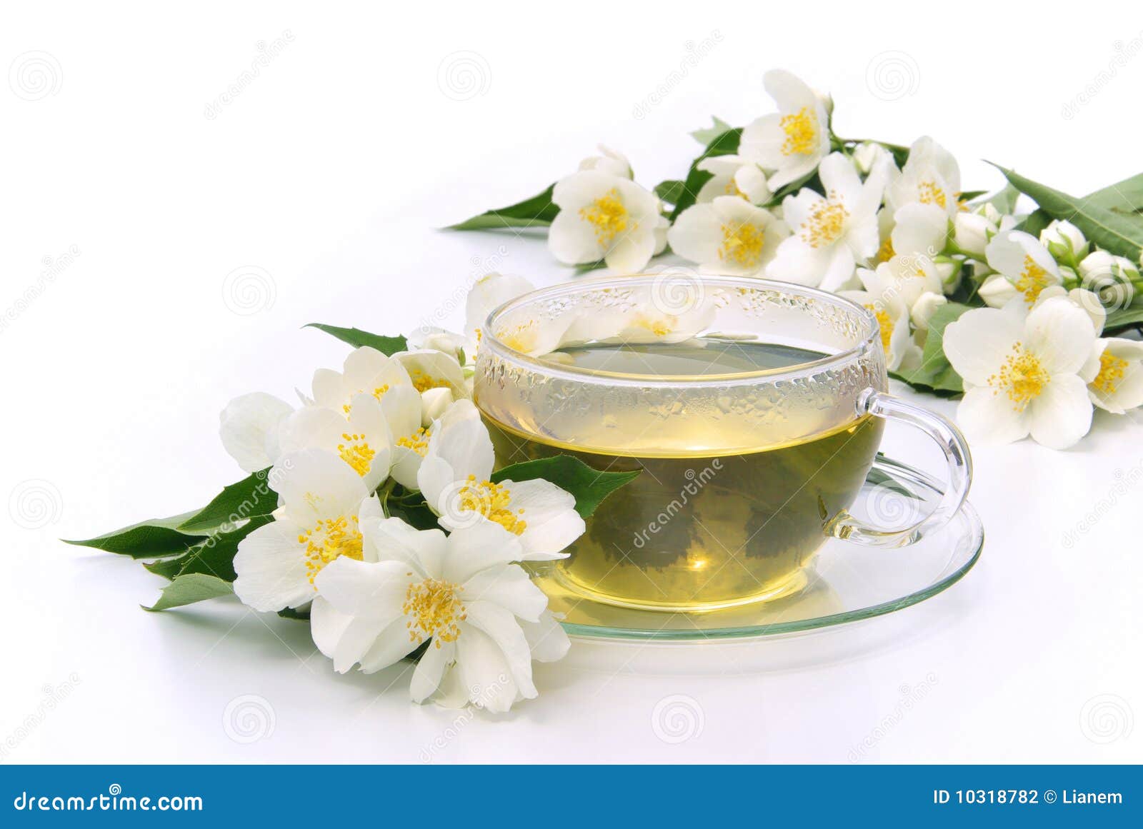 Jasmine tea stock photo. Image of fresh, leaf, jasmine - 10318782