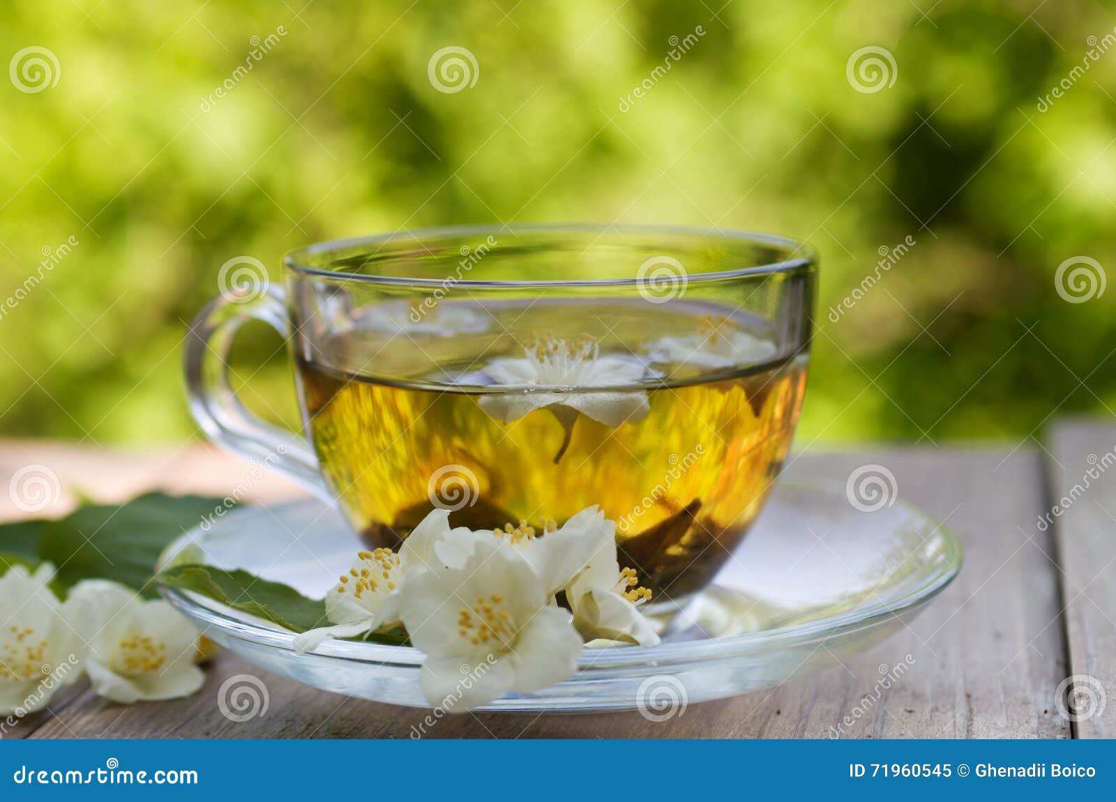 Jasmine tea stock image. Image of natural, nature, plant - 71960545