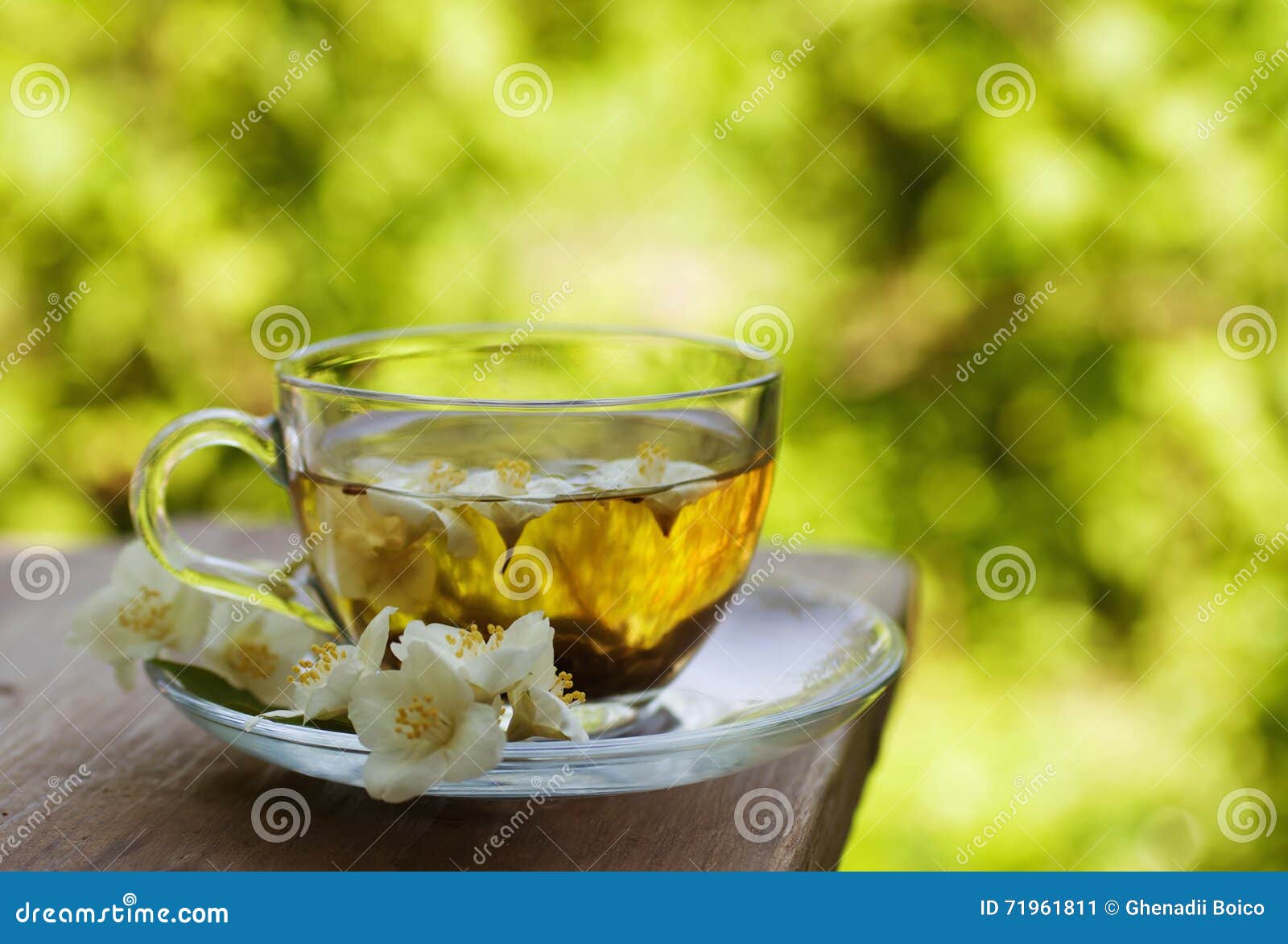Jasmine tea stock image. Image of leaf, chinese, summer - 71961811