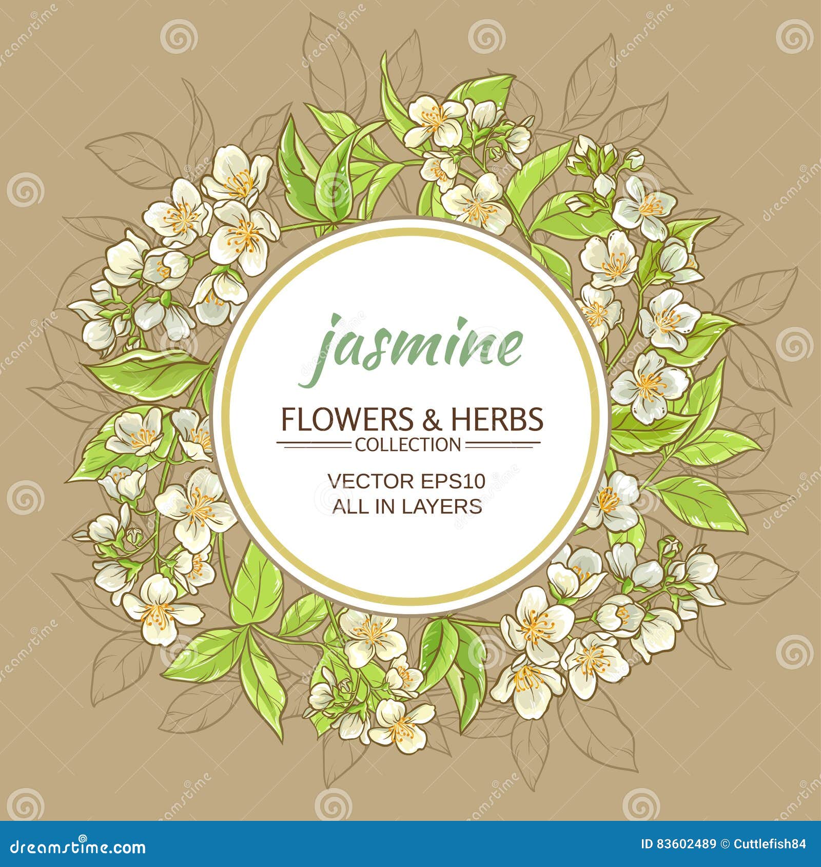 Jasmine vector frame stock vector. Illustration of circle - 83602489