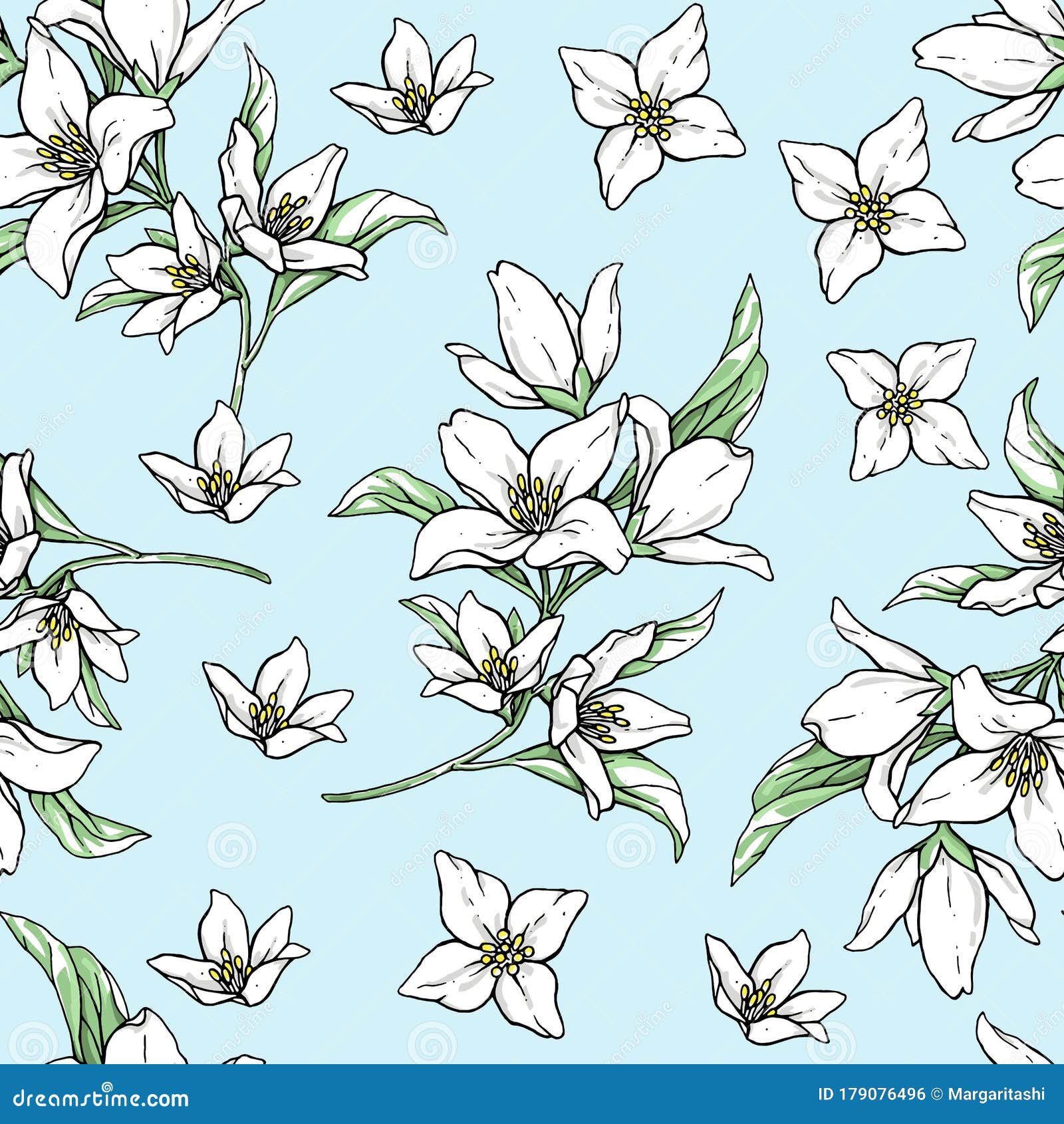 Jasmine White Flowers on Blue Background. Vector Handwork Illustration ...