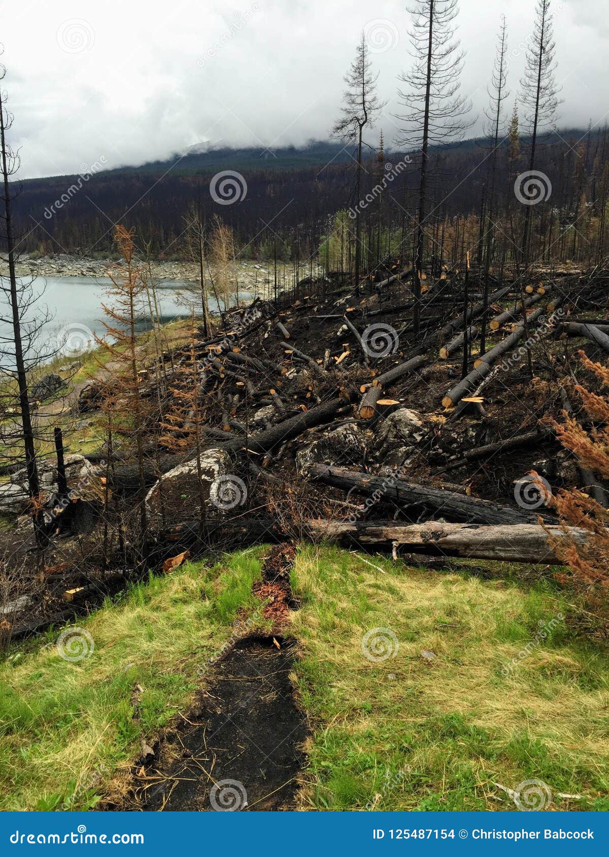 Jasper, Alberta, Canada Peru - August 15th, 2015. a View of the ...