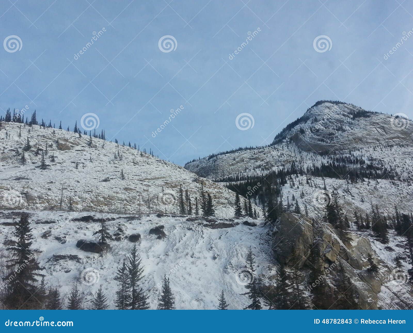 Jasper, Alberta stock image. Image of trees, nature, park - 48782843