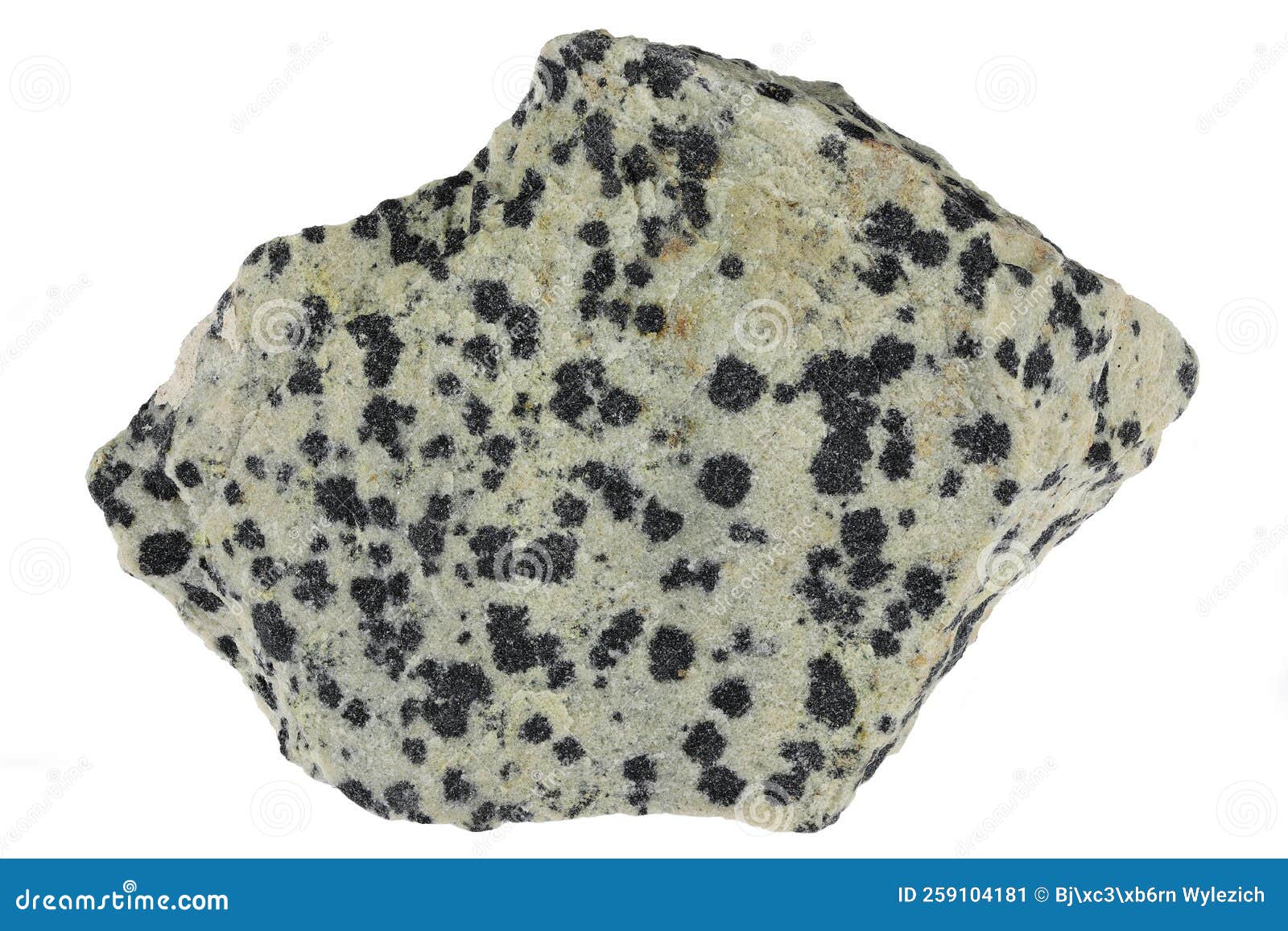 Jasper dalmata imagem de stock. Imagem de pedra, rocha - 259104181