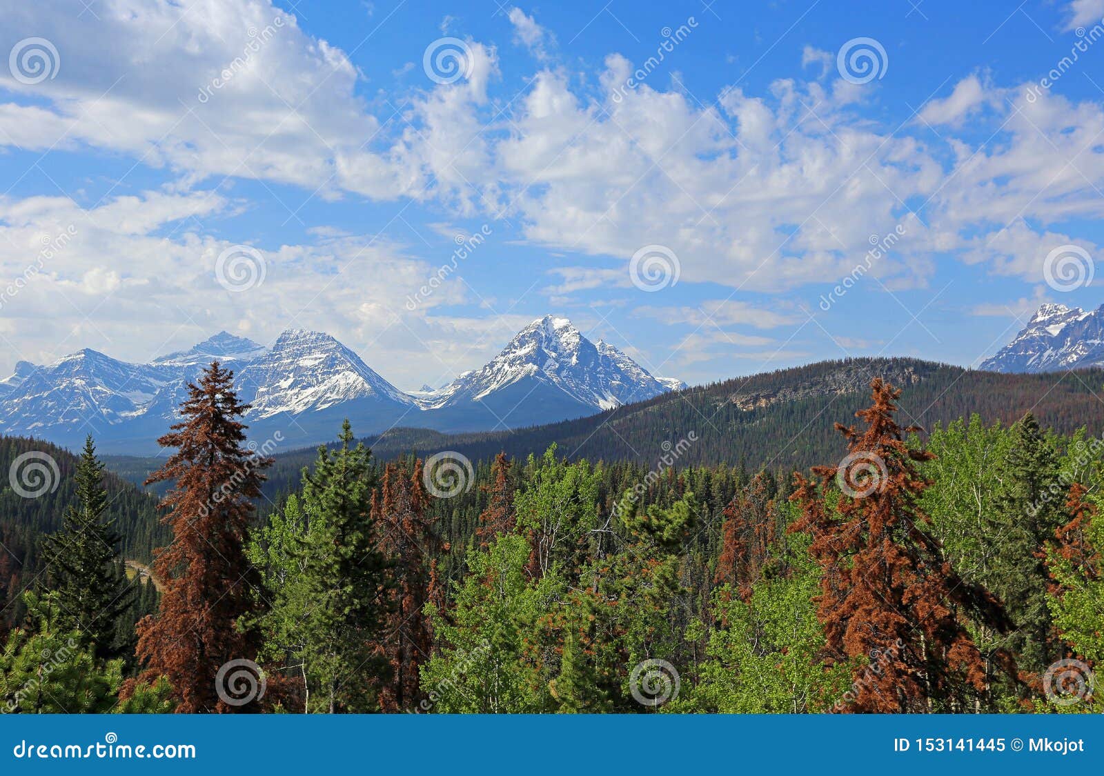 Athabasca Pass stock image. Image of eroded, attraction - 153141445