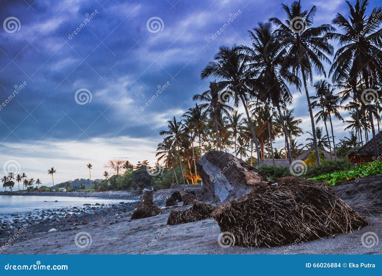 Jasri Beach stock photo. Image of tree, sunset, jasri - 66026884