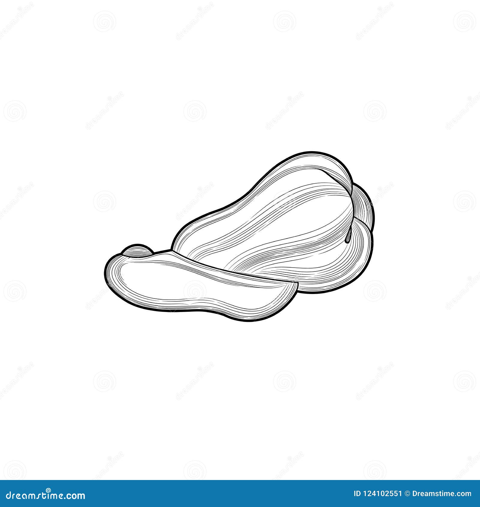 Java Apple. Half an Apple. Fruit Crop. Tropical Fruit Stock Vector ...