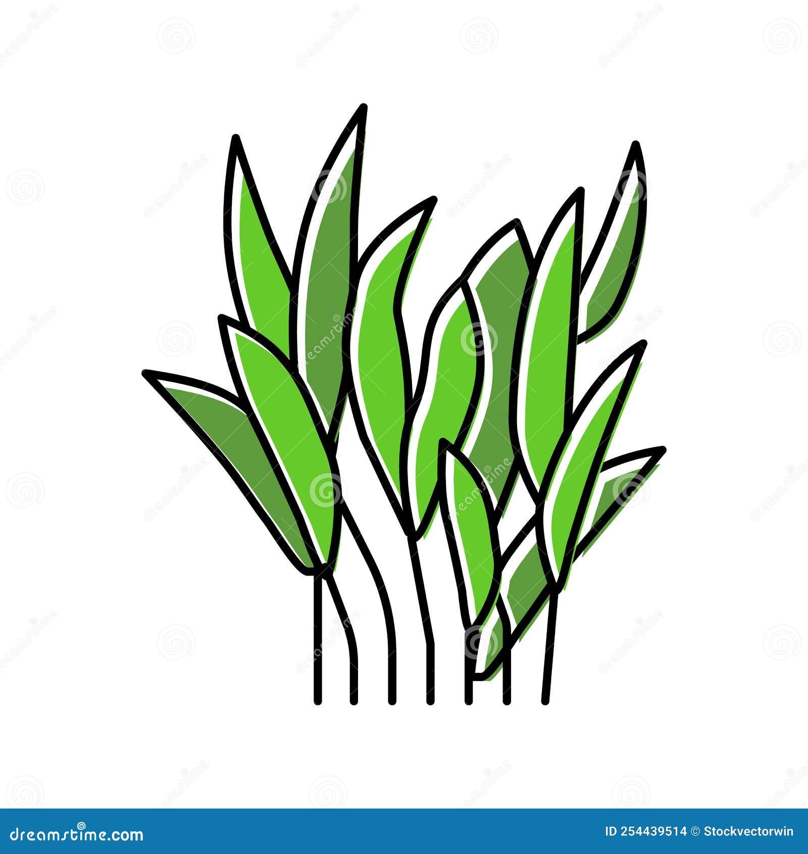 Java Fern Color Icon Vector Illustration Stock Vector - Illustration of ...