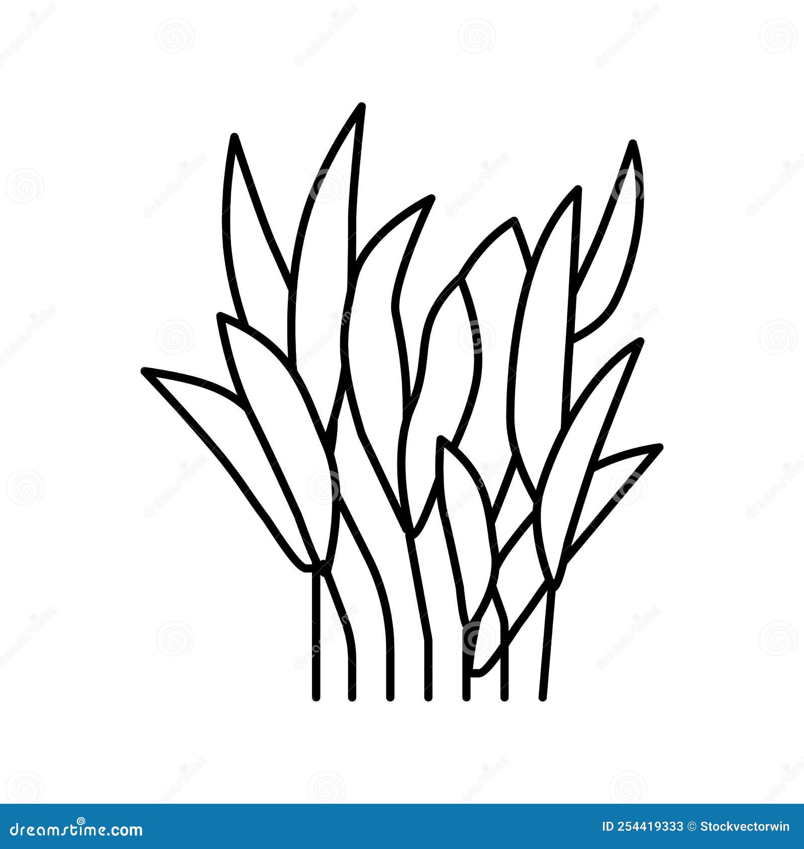 Java Fern Line Icon Vector Illustration Stock Illustration ...
