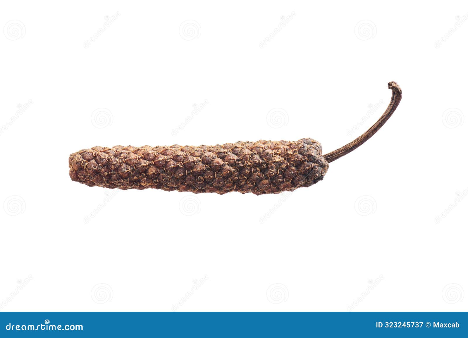 Java Long Pepper Isolated on White, Close Up Stock Image - Image of cookery, flavor: 323245737
