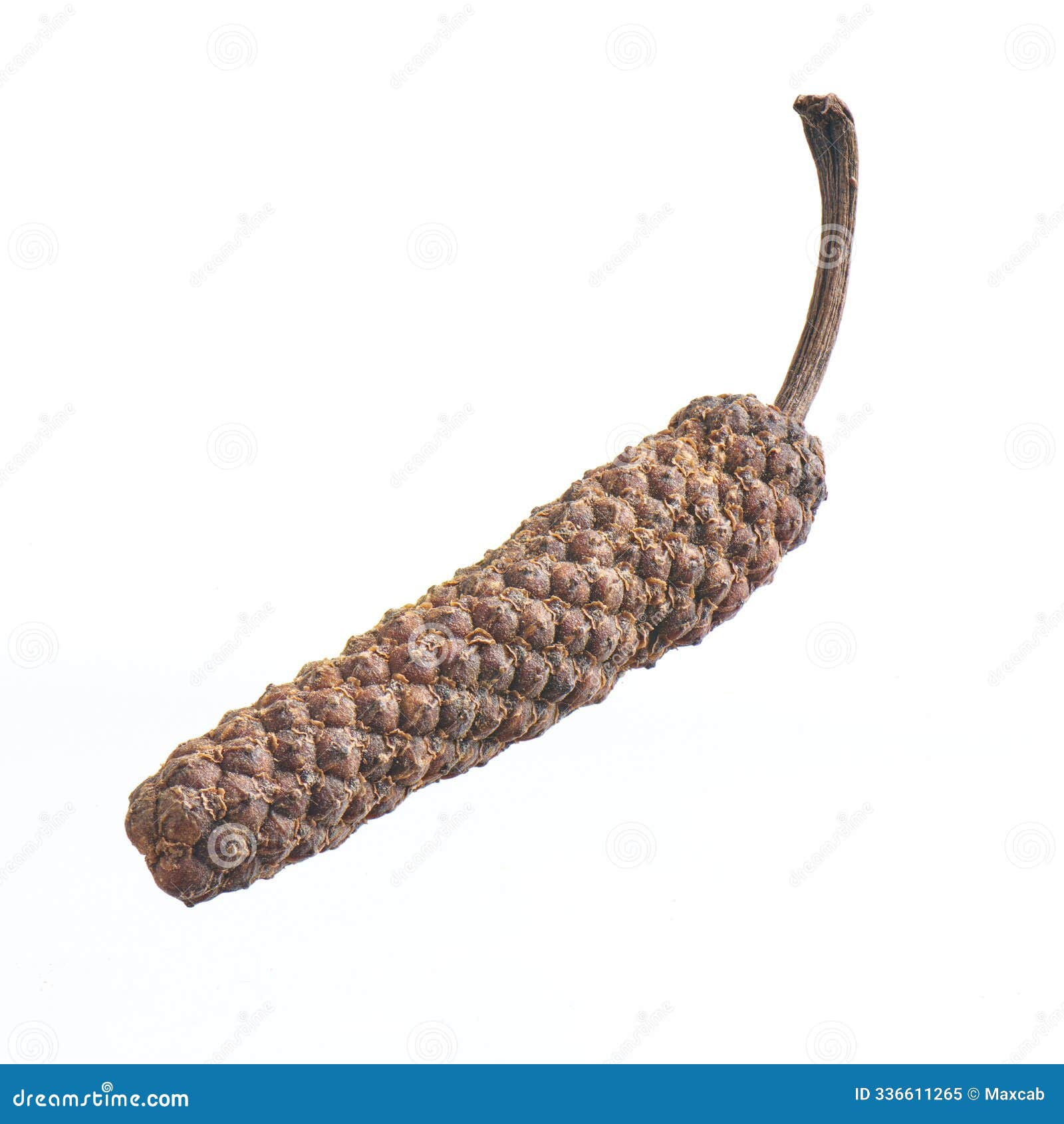 Java Long Pepper Isolated on White, Close Up Stock Image - Image of kitchen, taste: 336611265