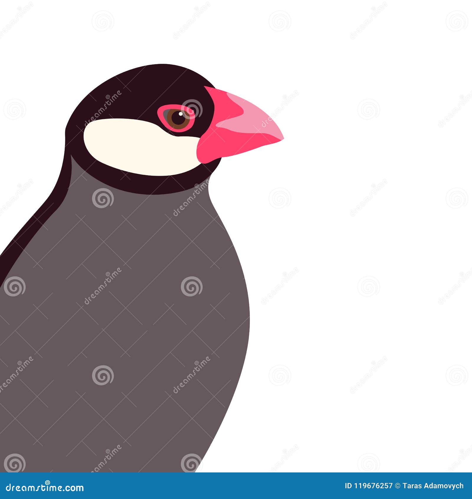 Java Rice Finch Head Vector Illustration Flat Stock Vector ...