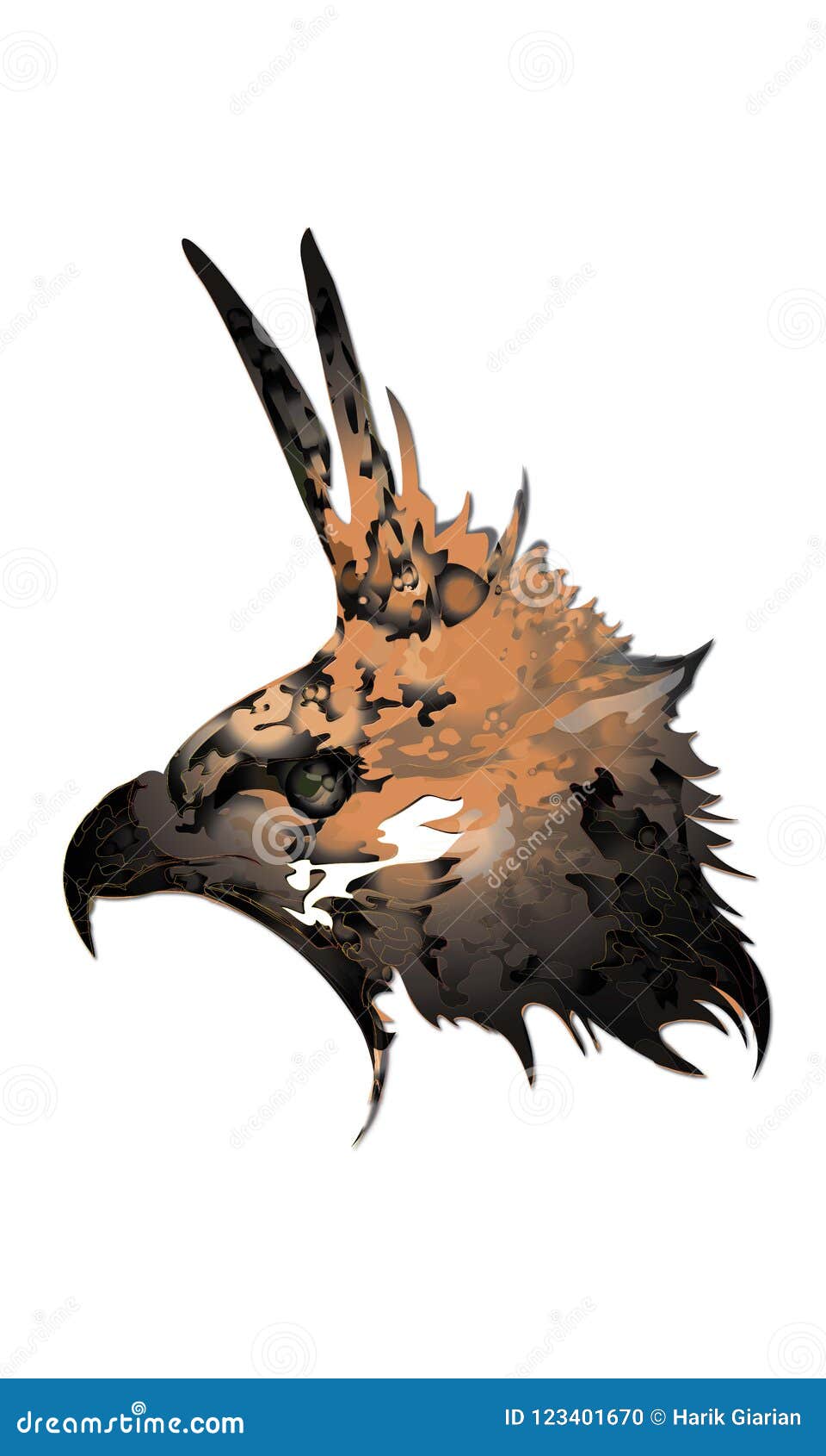 Javan Eagle Stock Illustrations – 5 Javan Eagle Stock Illustrations ...