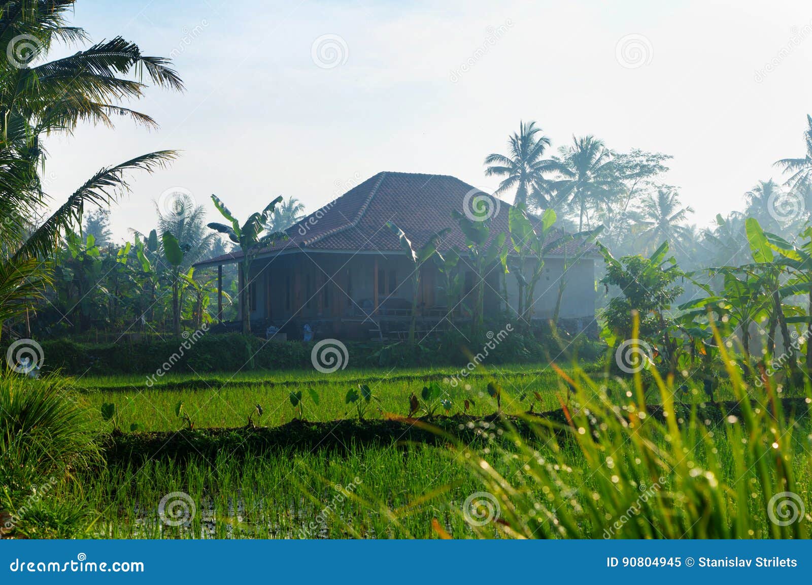 Javanese house stock image. Image of tropics, javanese - 90804945