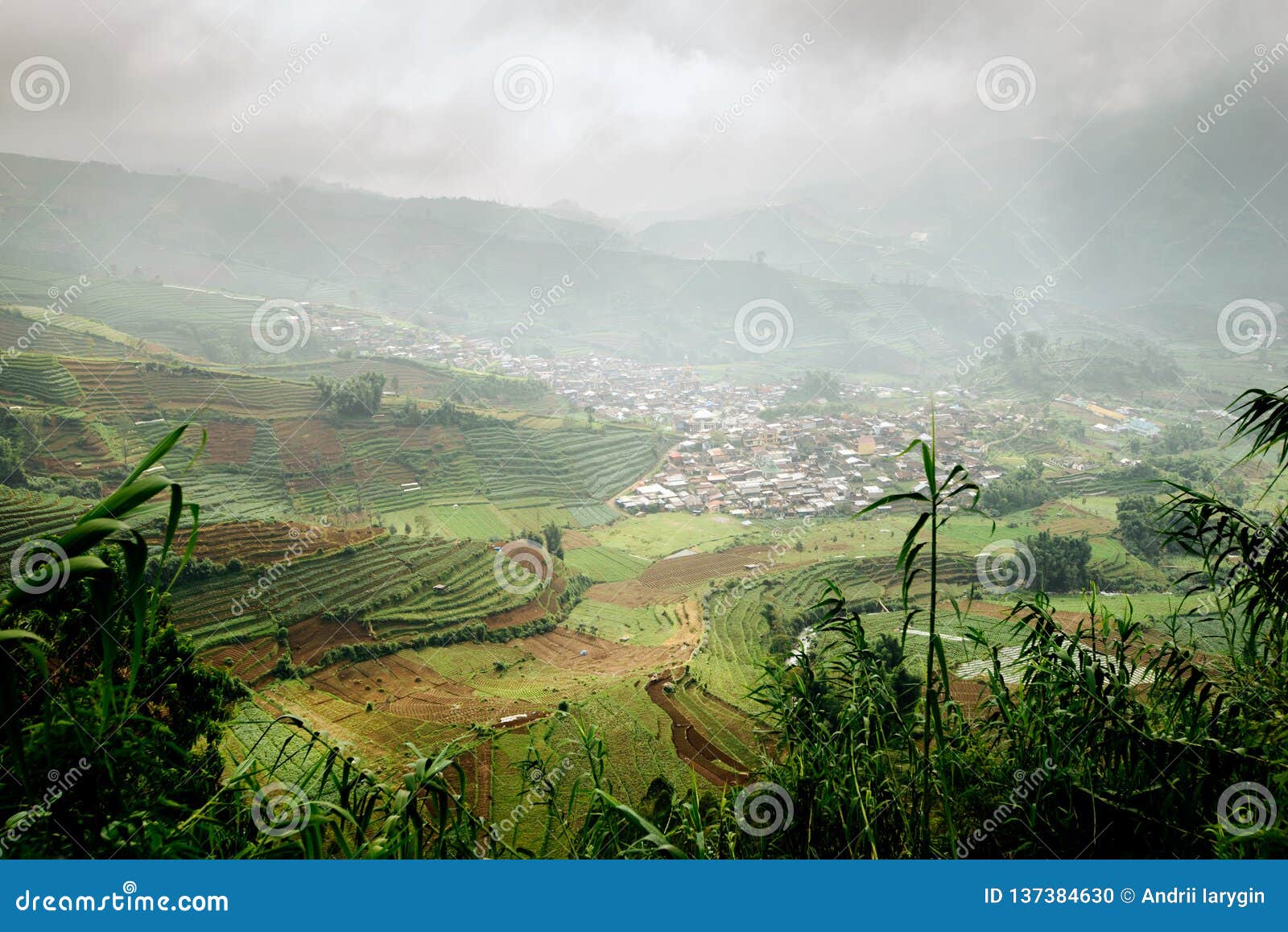 Javanese Rural Landscape stock photo. Image of background - 137384630