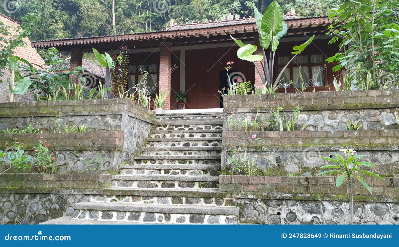 Javanese Traditional House in Magelang Stock Image - Image of shrine ...