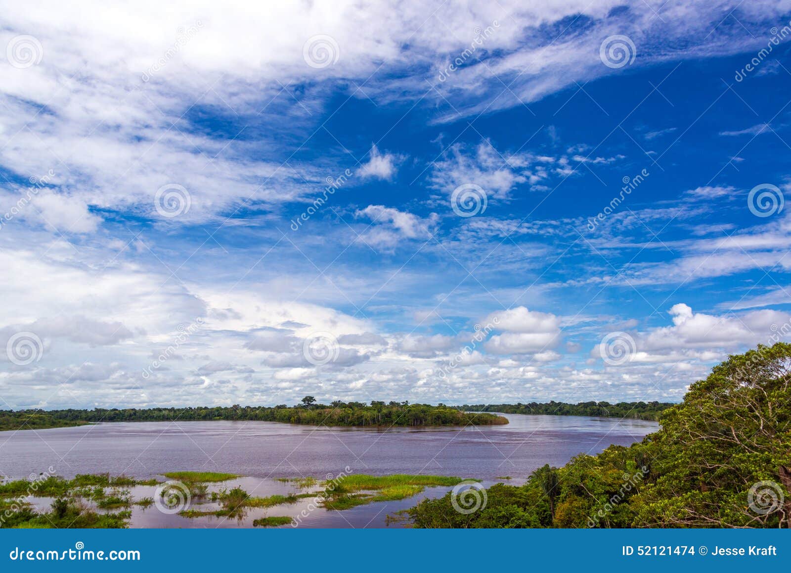 Javari River in Brazil stock photo. Image of tropical - 52121474