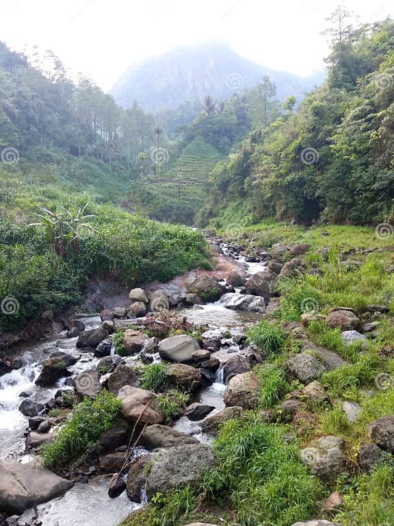 JavaRiver mountain green stock image. Image of mountain - 290360845