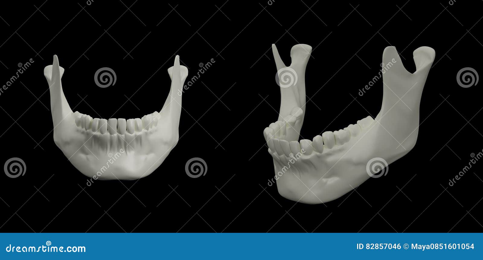 Jaw bone stock illustration. Illustration of anatomy - 82857046