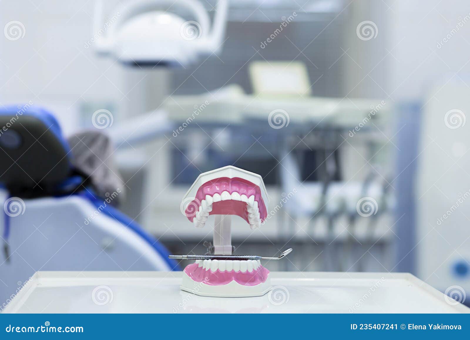 Jaw Model Teeth with Dental Instruments, Mirror and Probe Stock Image ...