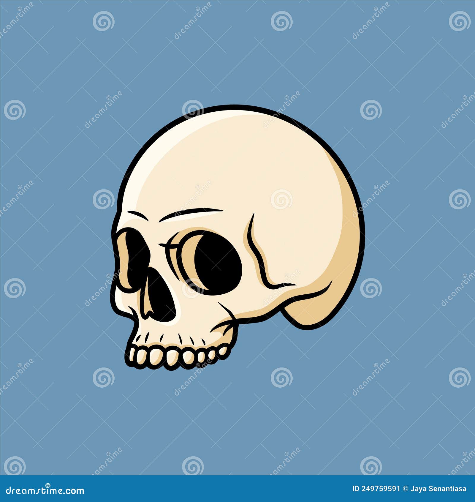 Jawless Right-facing Skull Illustration Cartoon Vector Stock Vector ...