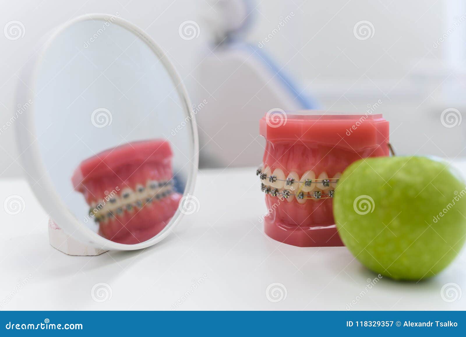 Artificial Jaws with Braces and with an Apple are Reflected in the ...