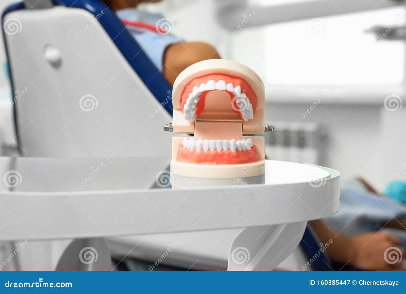 Jaws Model on Table in Modern Dentist Office Stock Image - Image of ...