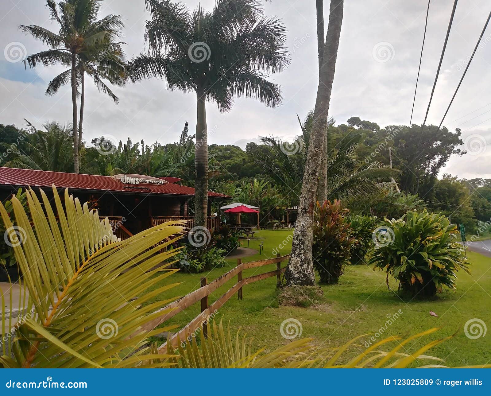 Jaws Covenant Store Stock Photos - Free & Royalty-Free Stock Photos ...