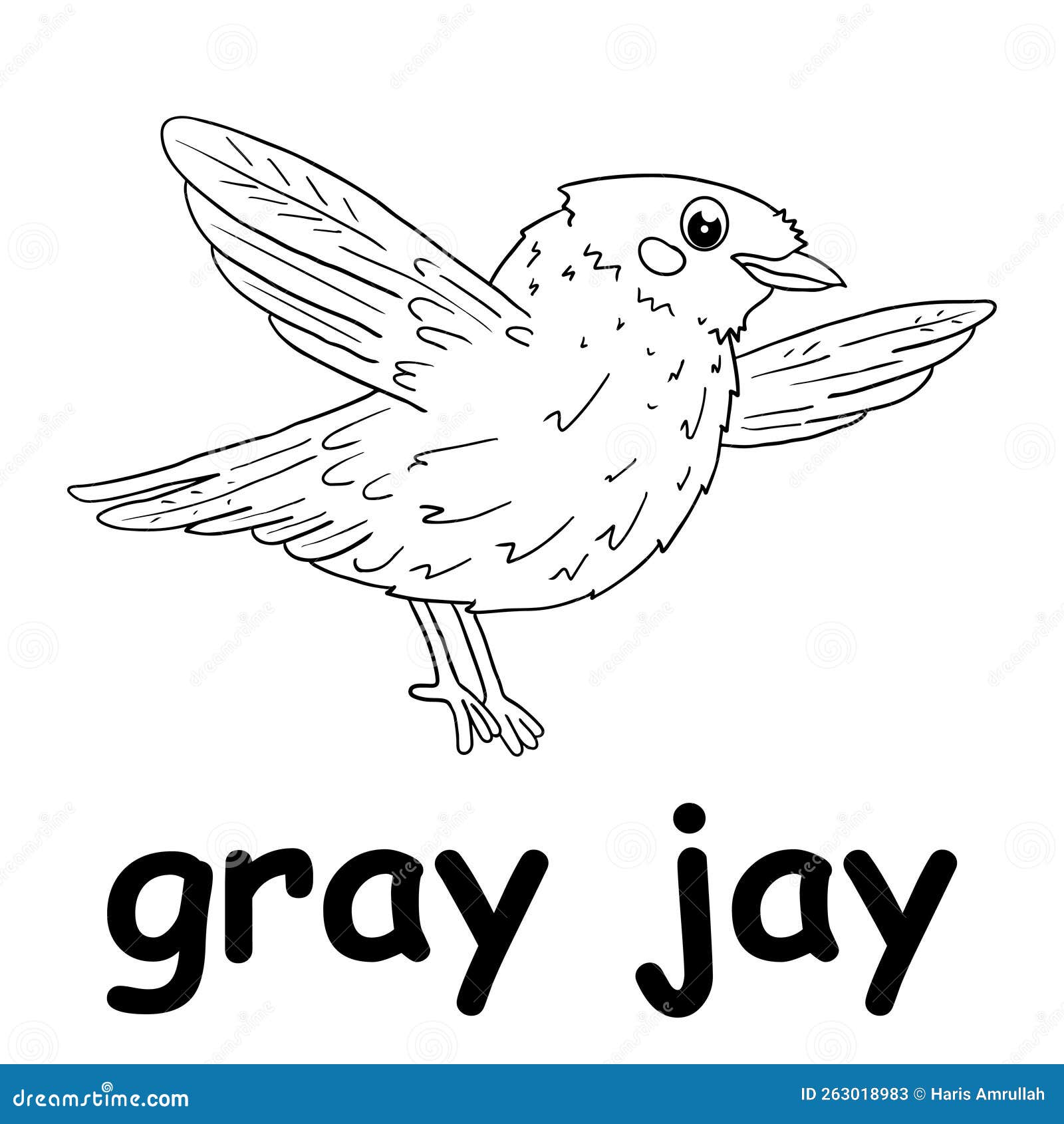 Kids Line Illustration Coloring Gray Jay. Animal Outline Stock Vector ...