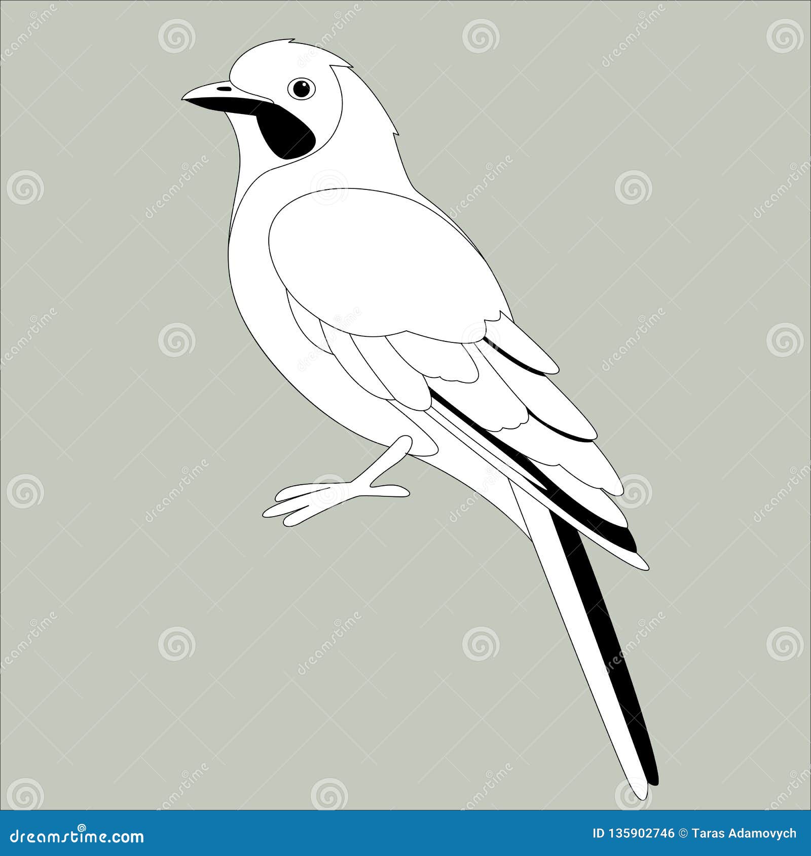 Jay Bird, Vector Illustration , Lining Draw, Profile Stock Vector ...