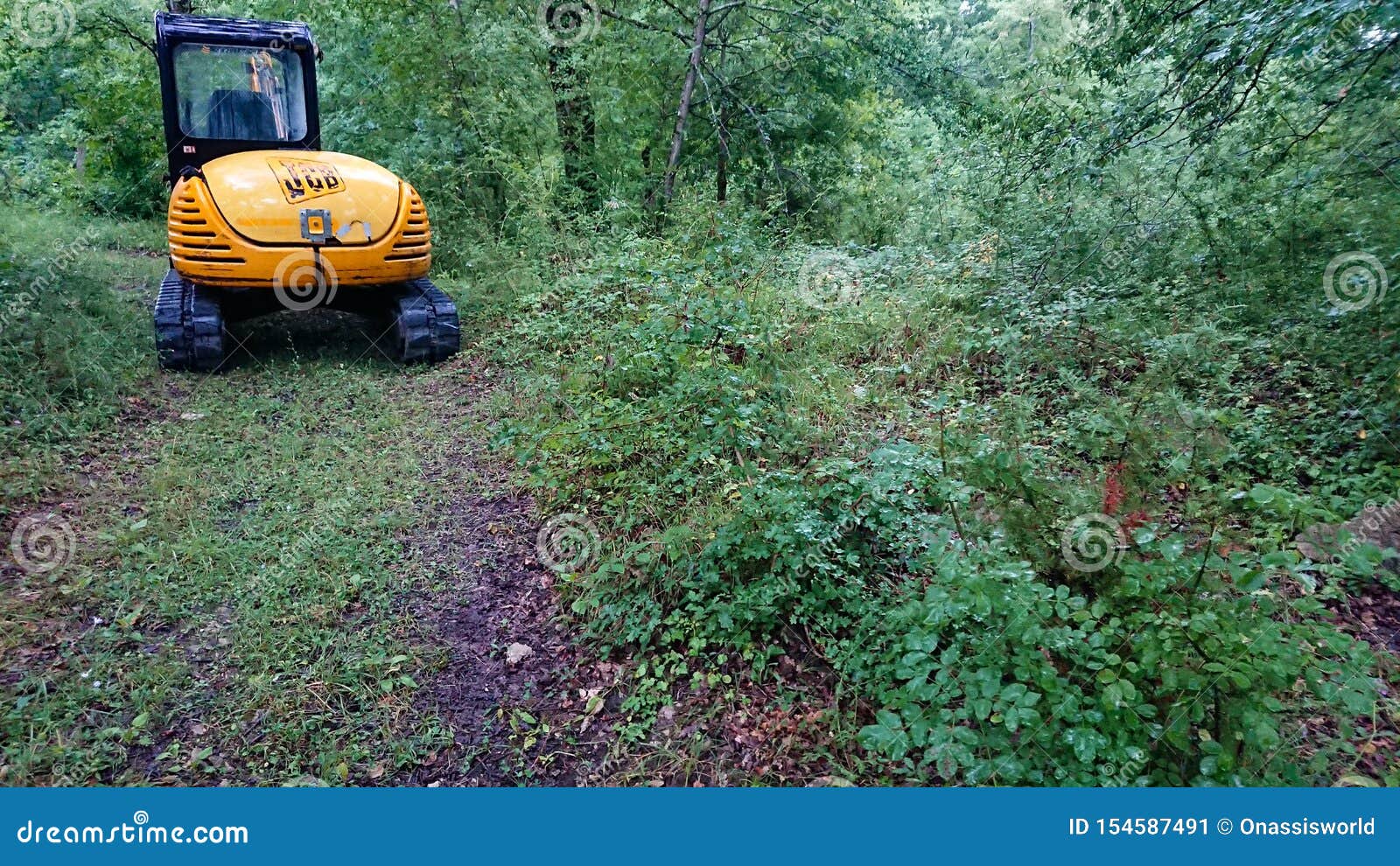 JCB Digger In Forest. Deforestation Editorial Image | CartoonDealer.com ...