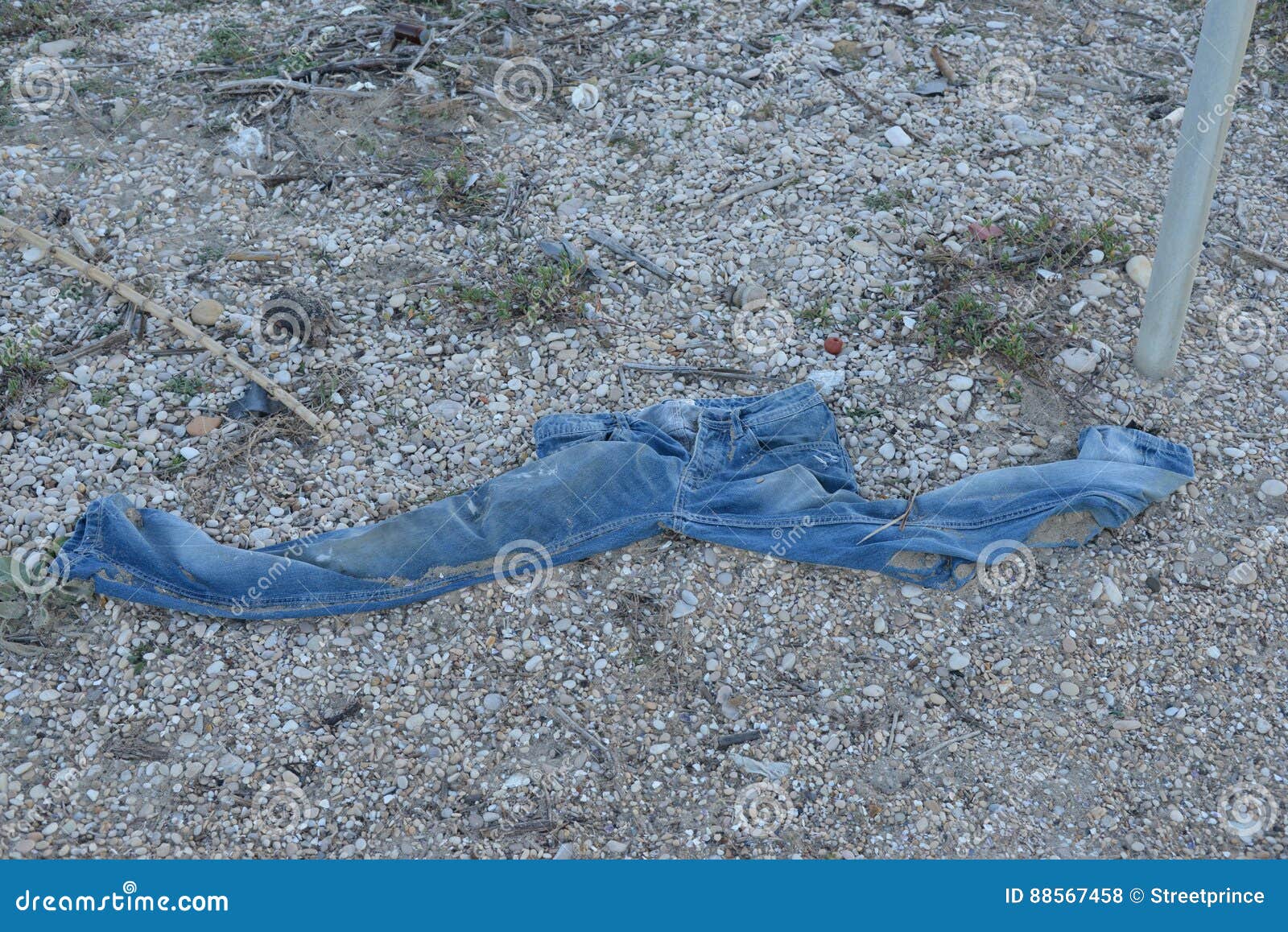Jeans on the ground stock photo. Image of garden, beautiful - 88567458