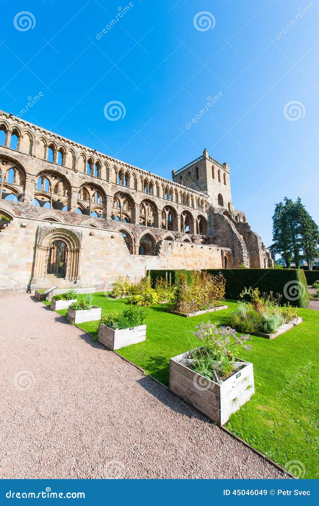 Jedburgh Abbey stock image. Image of abbey, scotland - 45046049