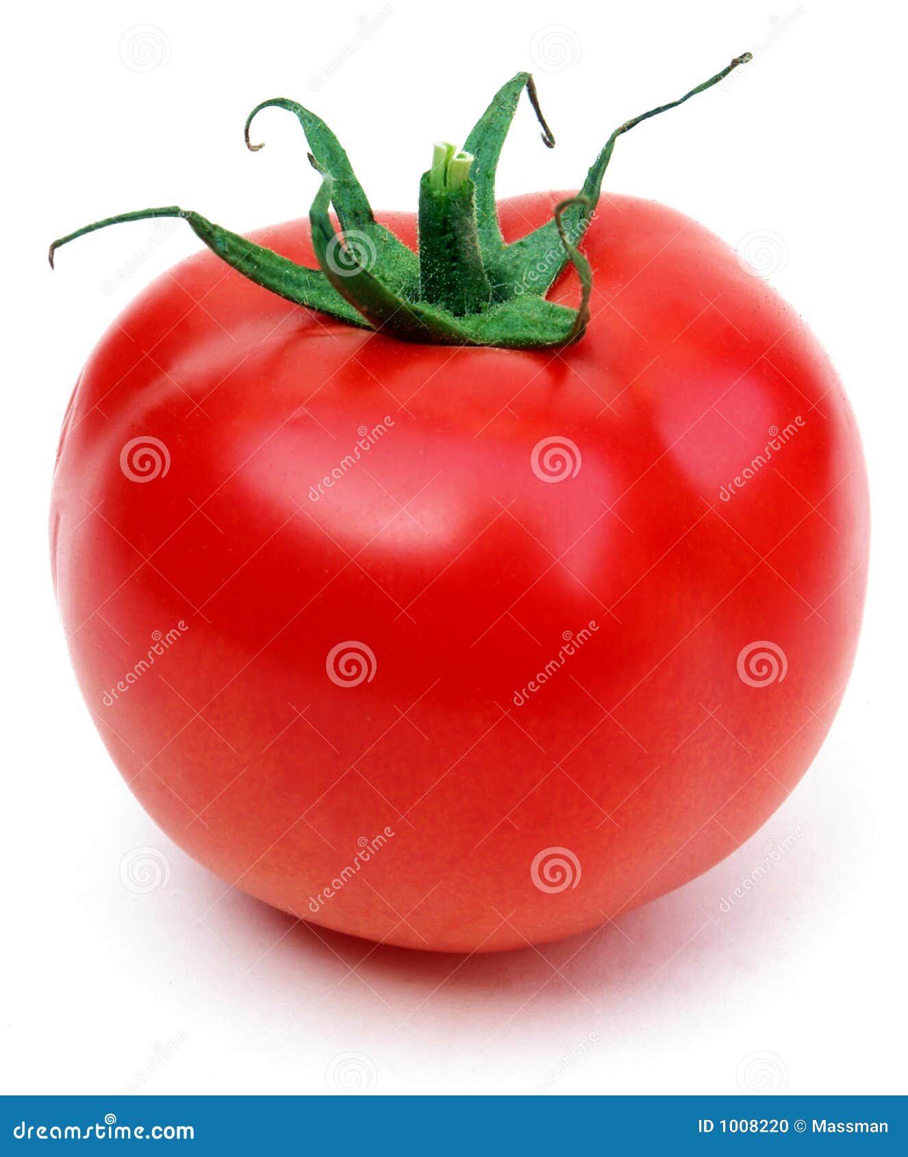 Jeden pomidor zdjęcie stock. Obraz złożonej z świeży, kumberland - 1008220
