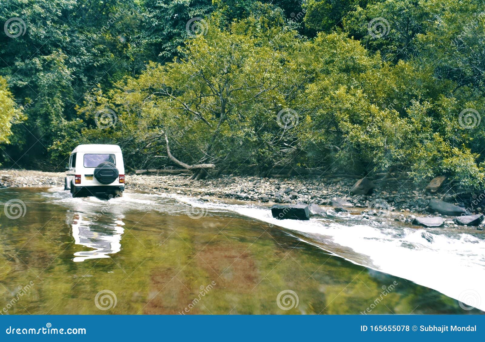 A Jeep Crossing River between the Forest in Goa India Stock Photo ...