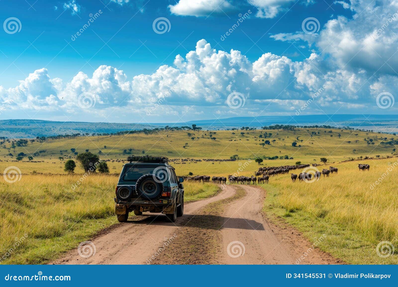 A Jeep Driving on a Dirt Road Alongside a Herd of Animals Stock Image ...