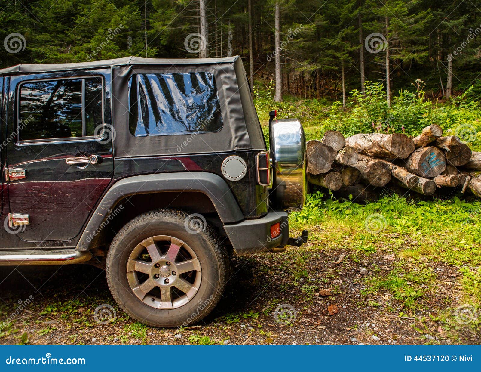 Off-road Car Parked in the Forest Stock Photo - Image of nature, rugged ...