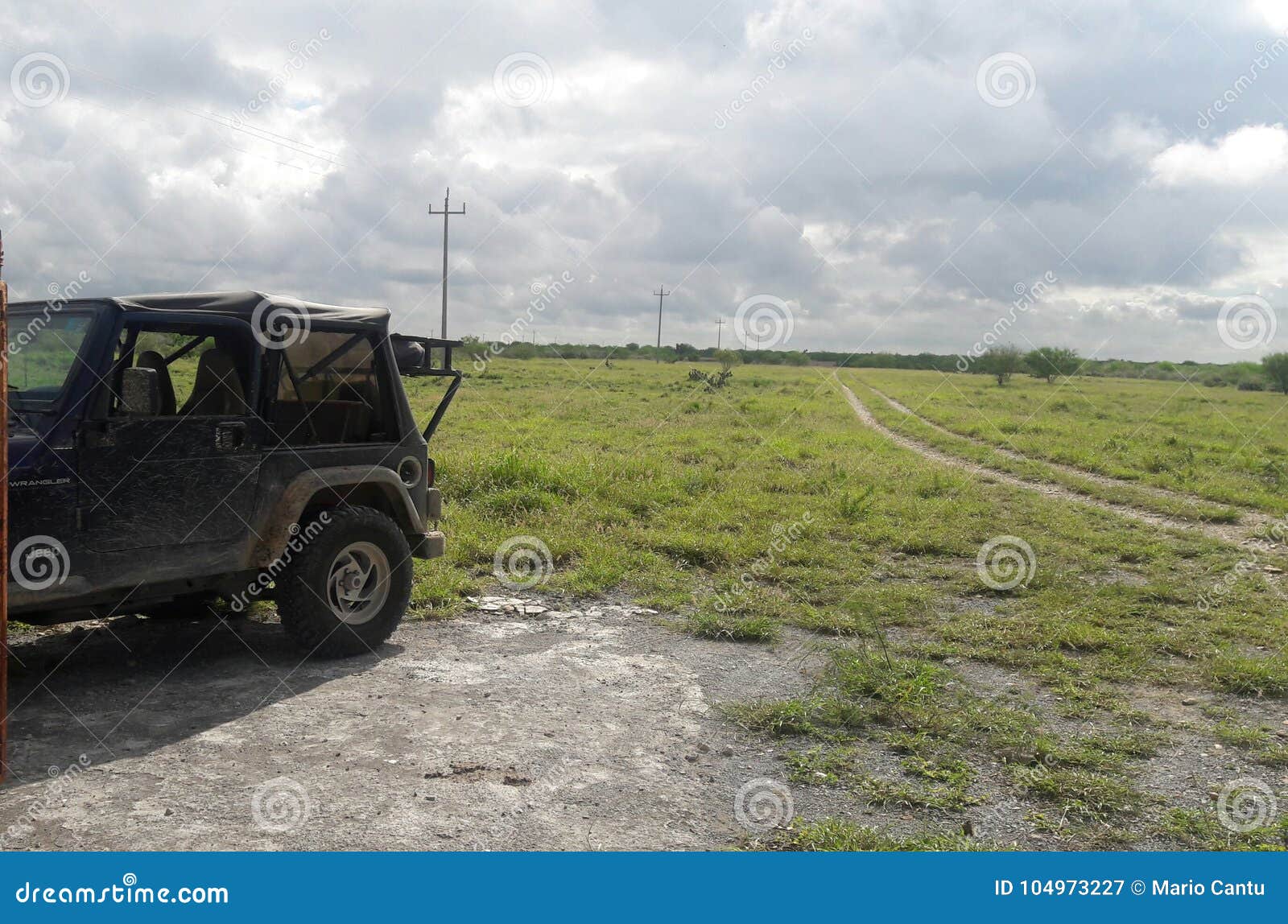 Jeep Life stock image. Image of wrangler, natural, jeeplife - 104973227